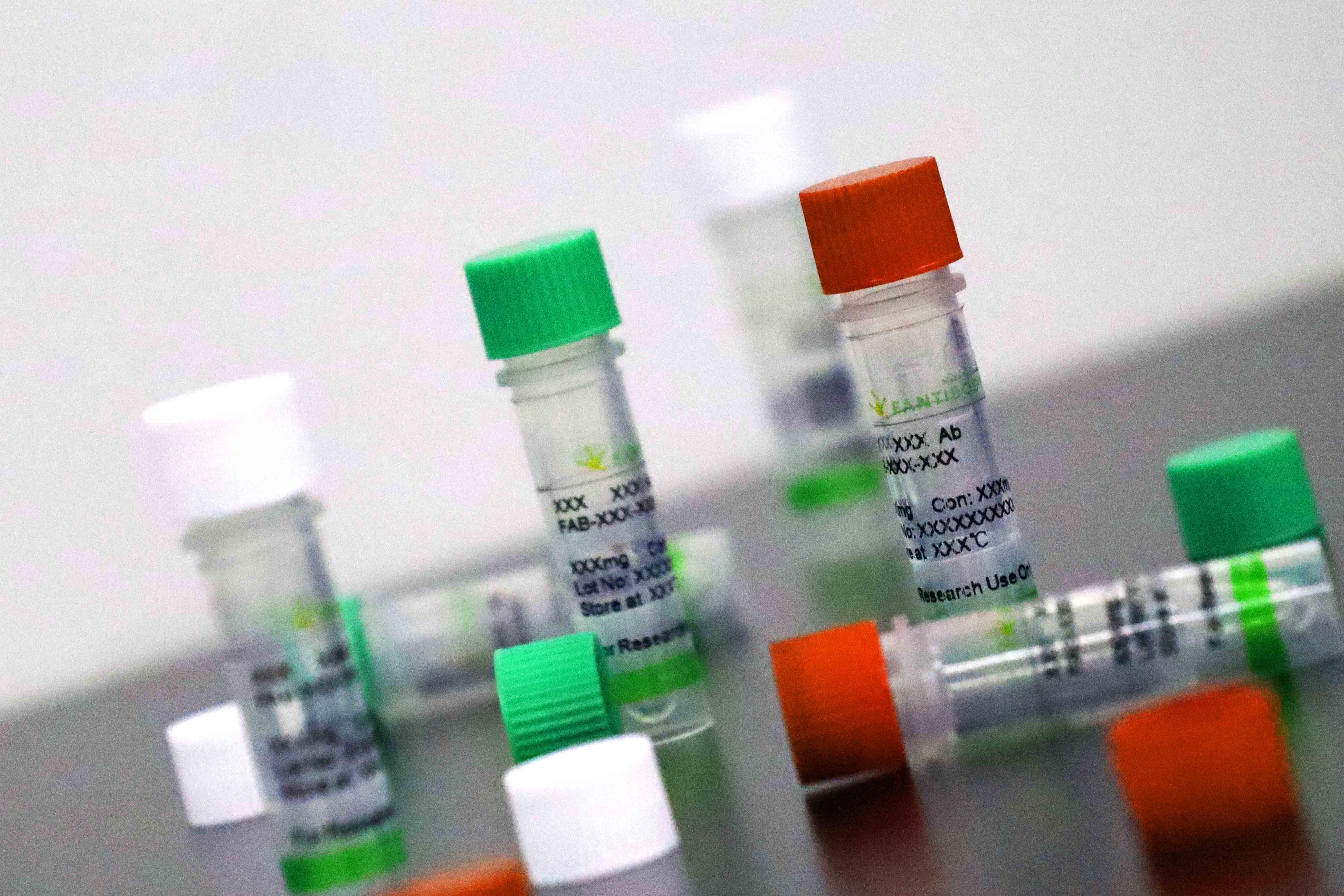 TMB Single Component High Efficiency Chromogenic Solution – Biomean ...